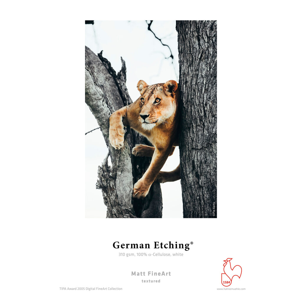 German Etching - Printman