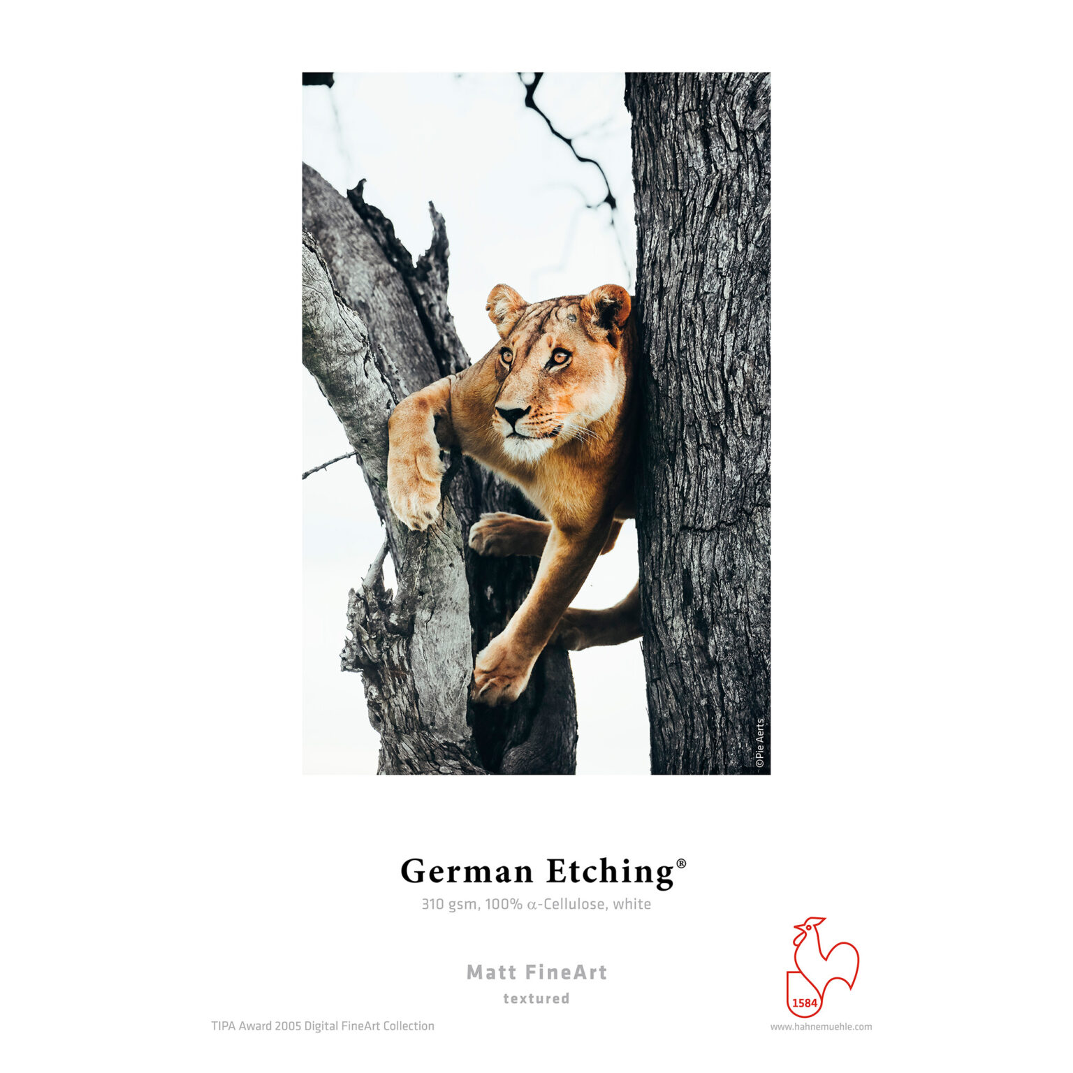 German Etching - Printman