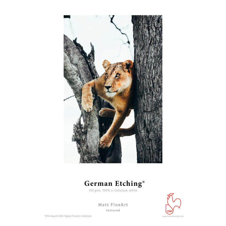German Etching - Printman